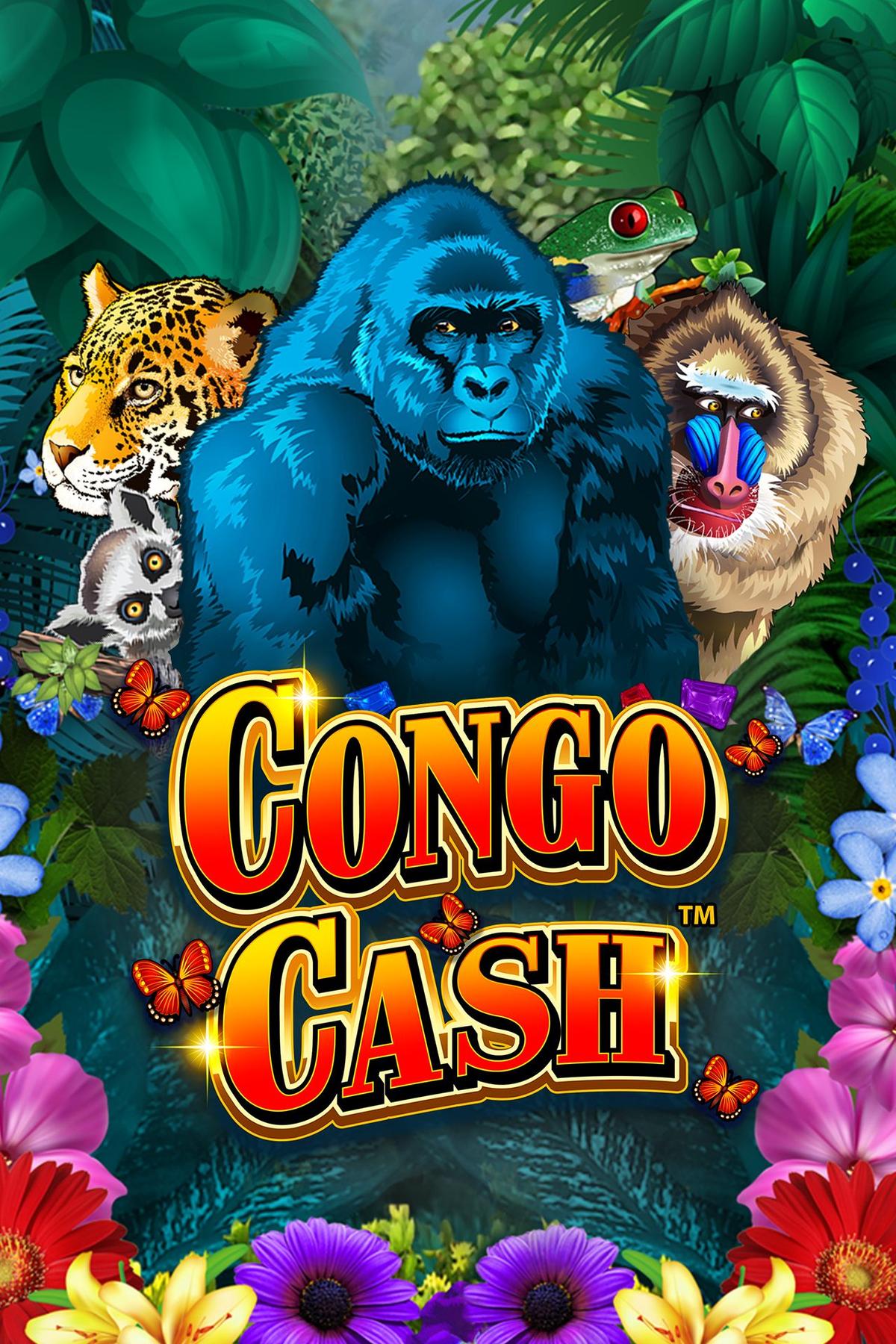 Online Casino | Slots, Betting, Bingo & more! | Paf