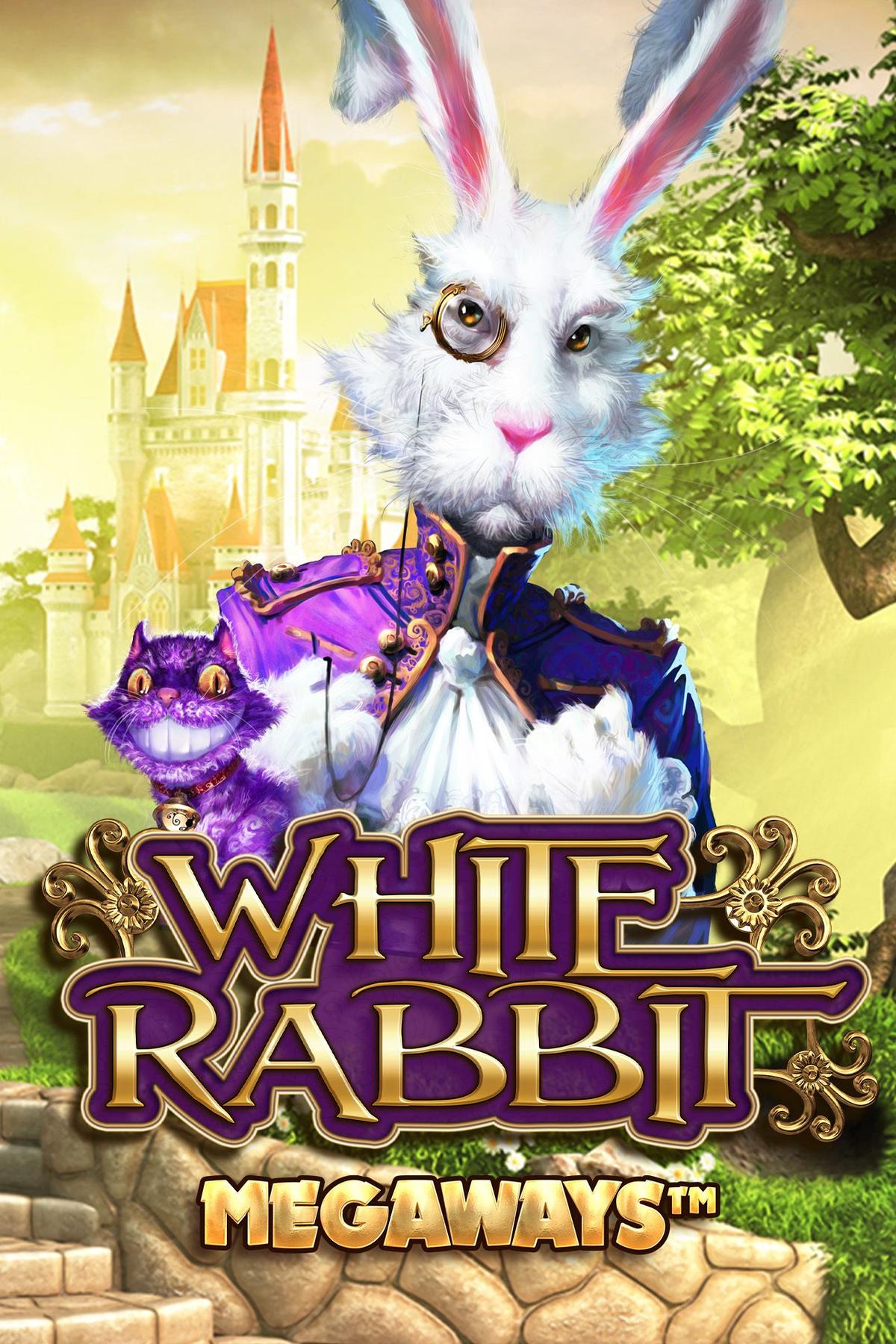 Online Casino | Slots, Betting, Bingo & more! | Paf