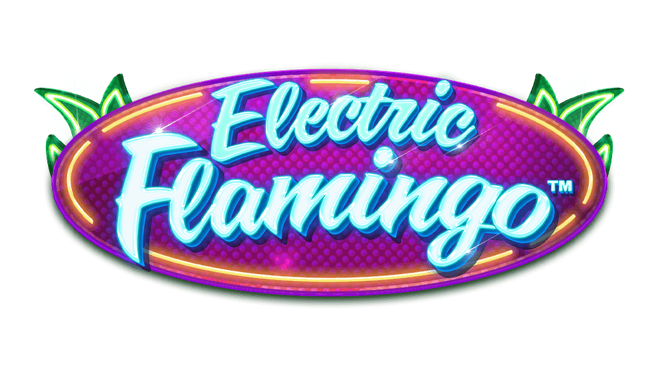 Nettikasino | Kolikkopelit, vedonlyönti ja bingo | Paf